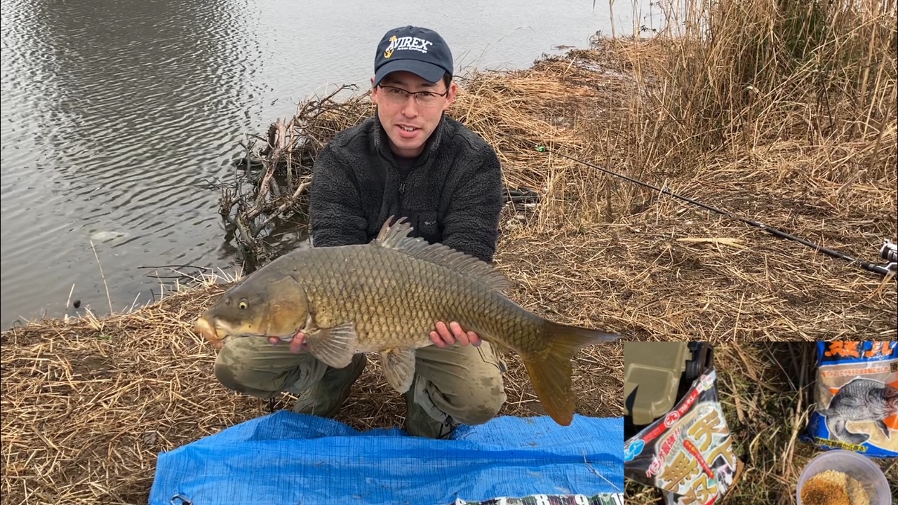 多摩川（汽水域） | コイ釣り情報鯉釣り隊（マルキユー株式会社）