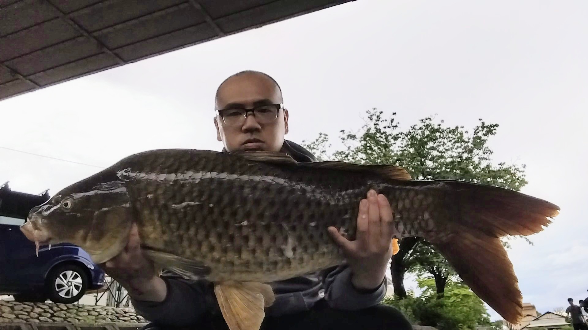 滋賀県/瀬田川 名神高速下 | コイ釣り情報鯉釣り隊（マルキユー株式会社）