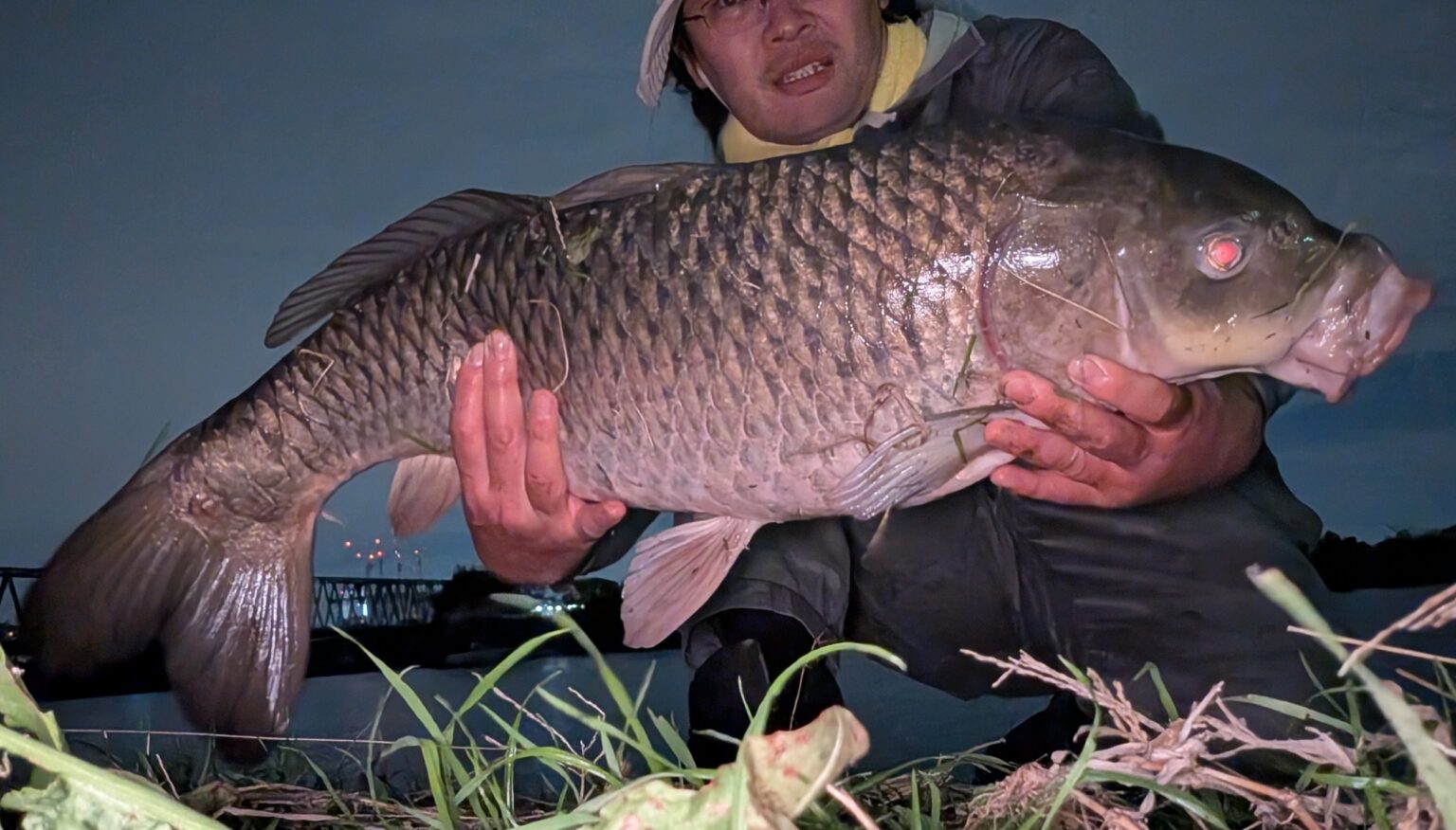 千葉県/江戸川 | コイ釣り情報鯉釣り隊（マルキユー株式会社）